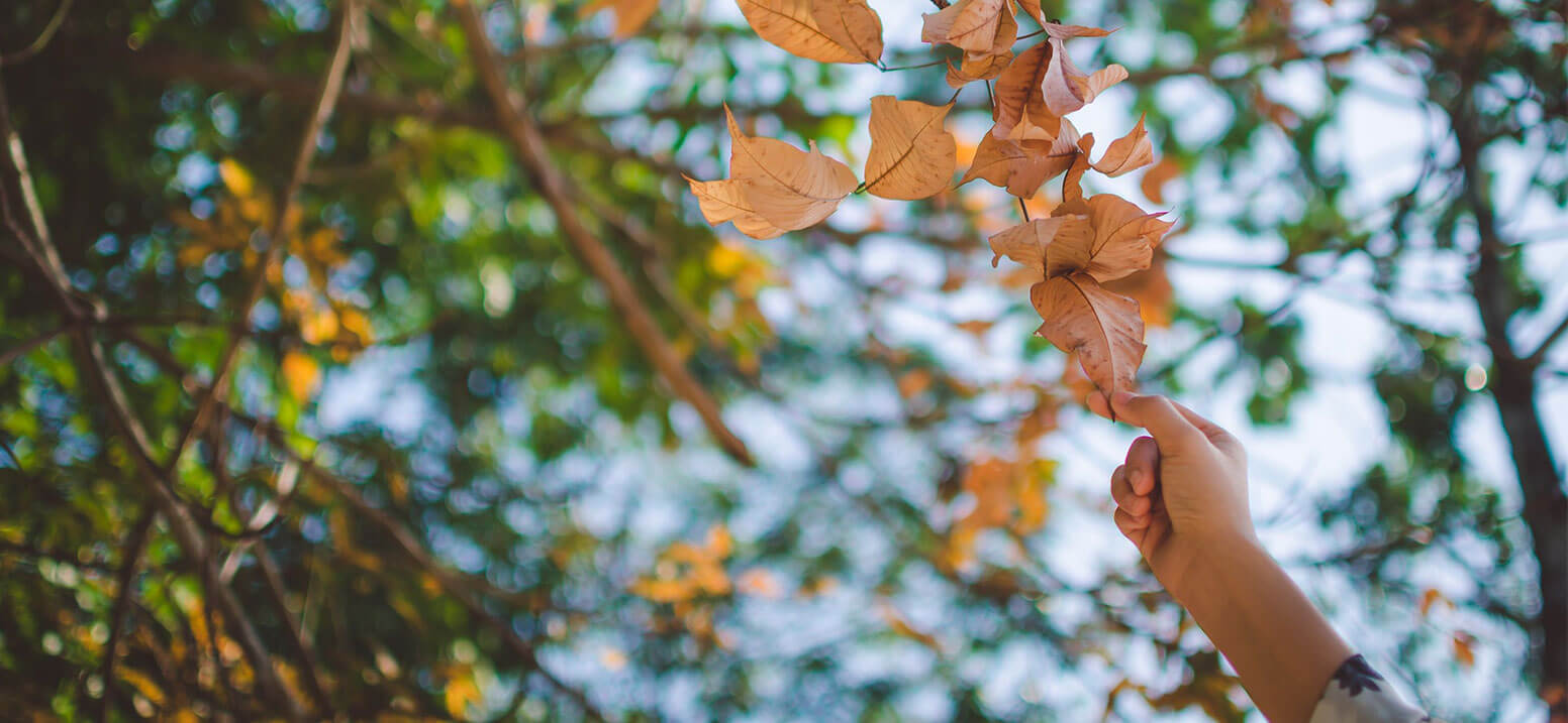 10 Ways to Connect with Nature in Autumn – JAMU